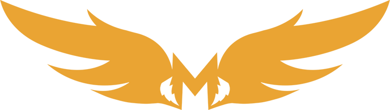 Stranger Things I Oversized – Ministry Of T-Shirt's Affairs